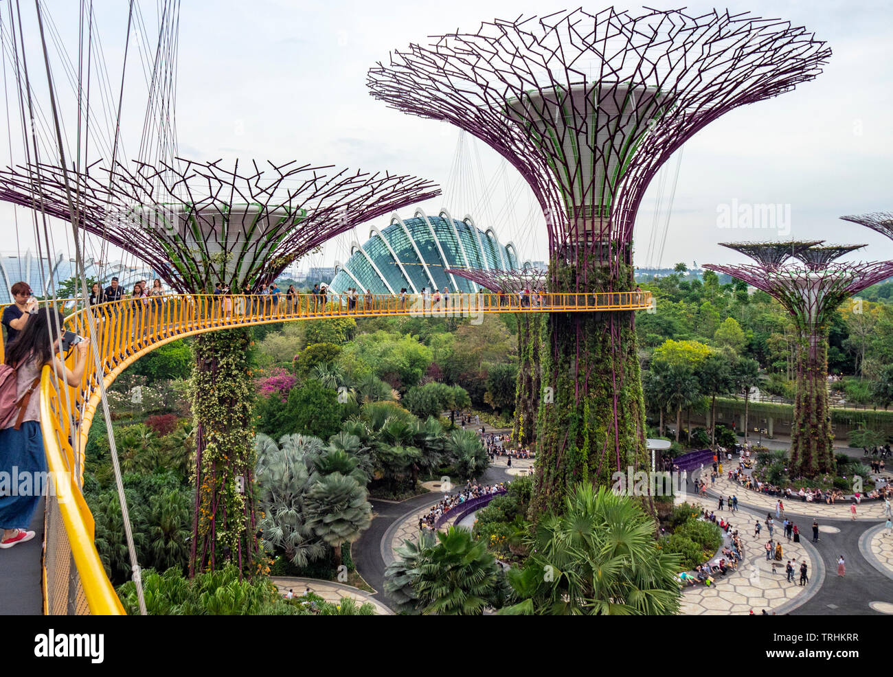 Skytrees skytree hi-res stock photography and images - Alamy