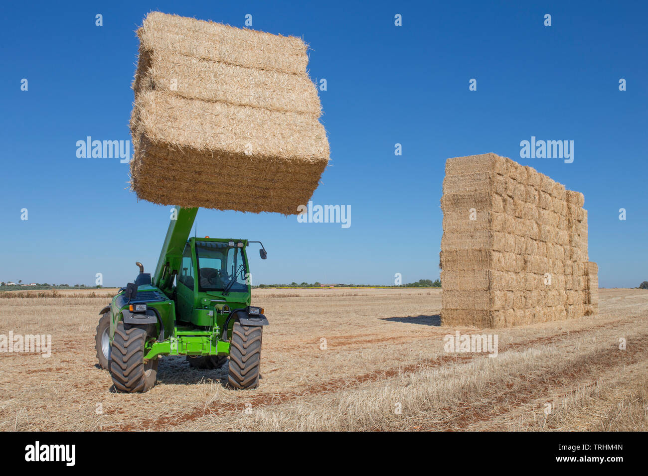 Telescopic handler gathering and stacking bales. Telescopic machinery ...