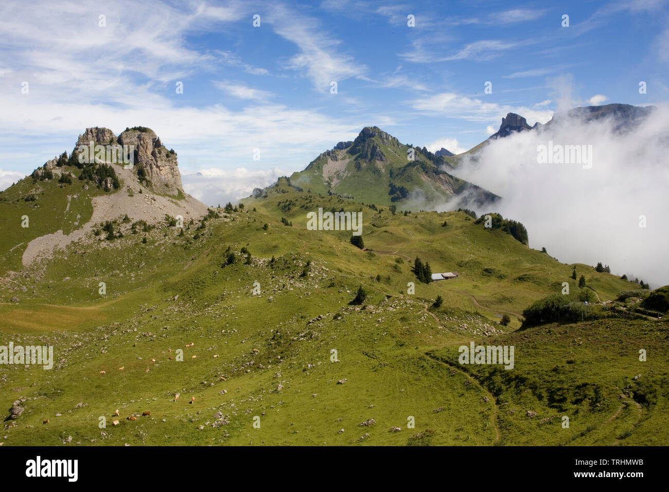 Oberberg country hi-res stock photography and images - Alamy