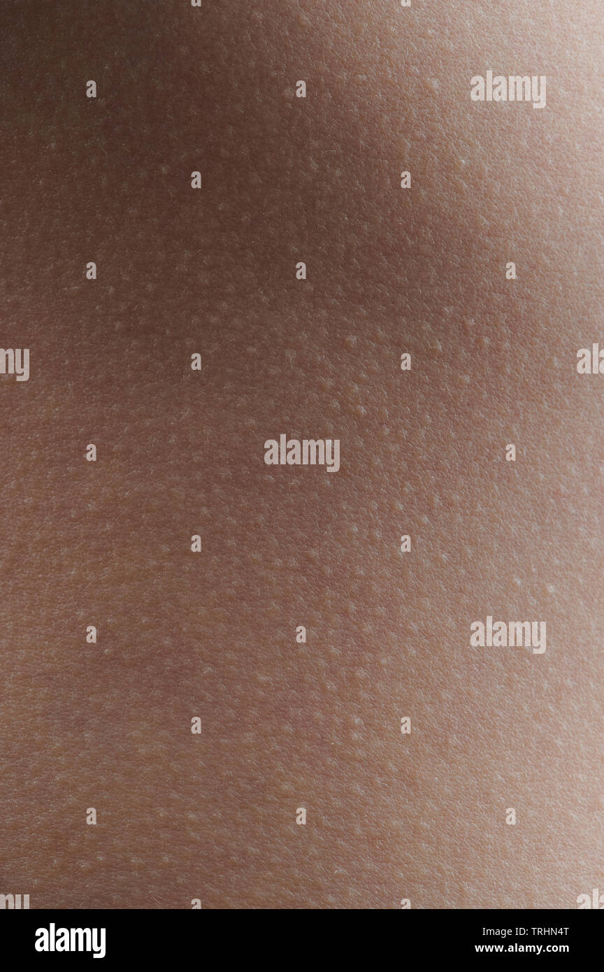 Clean empty brown human skin background close up view Stock Photo - Alamy