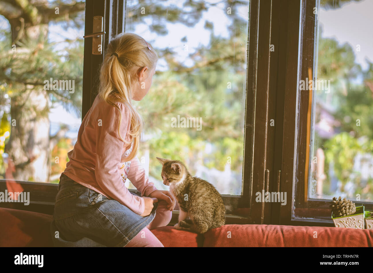 adorable blond girl with cat sitting next to the window with view to ...