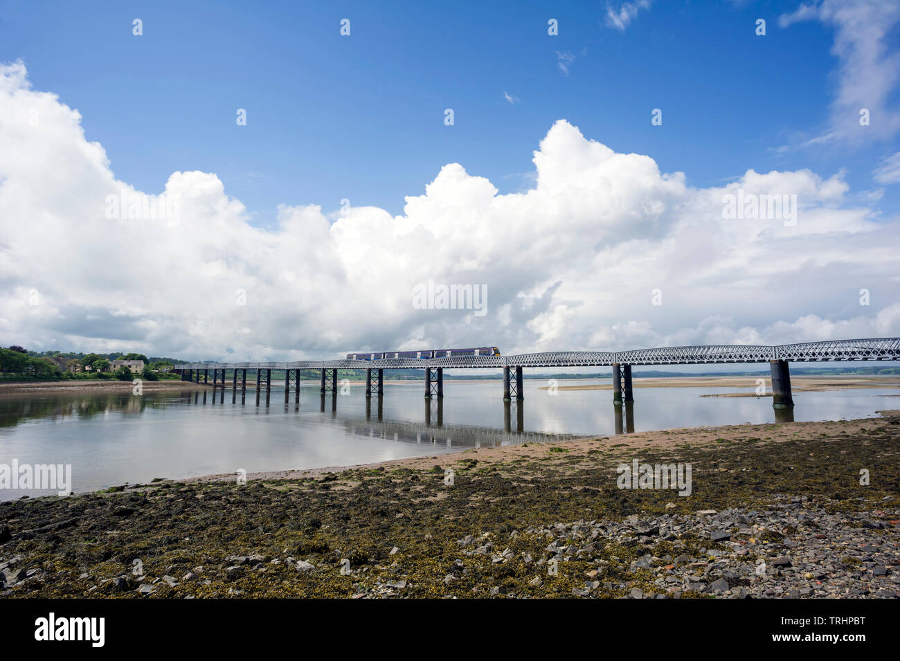 Montrose basin nature reserve hi-res stock photography and images - Alamy