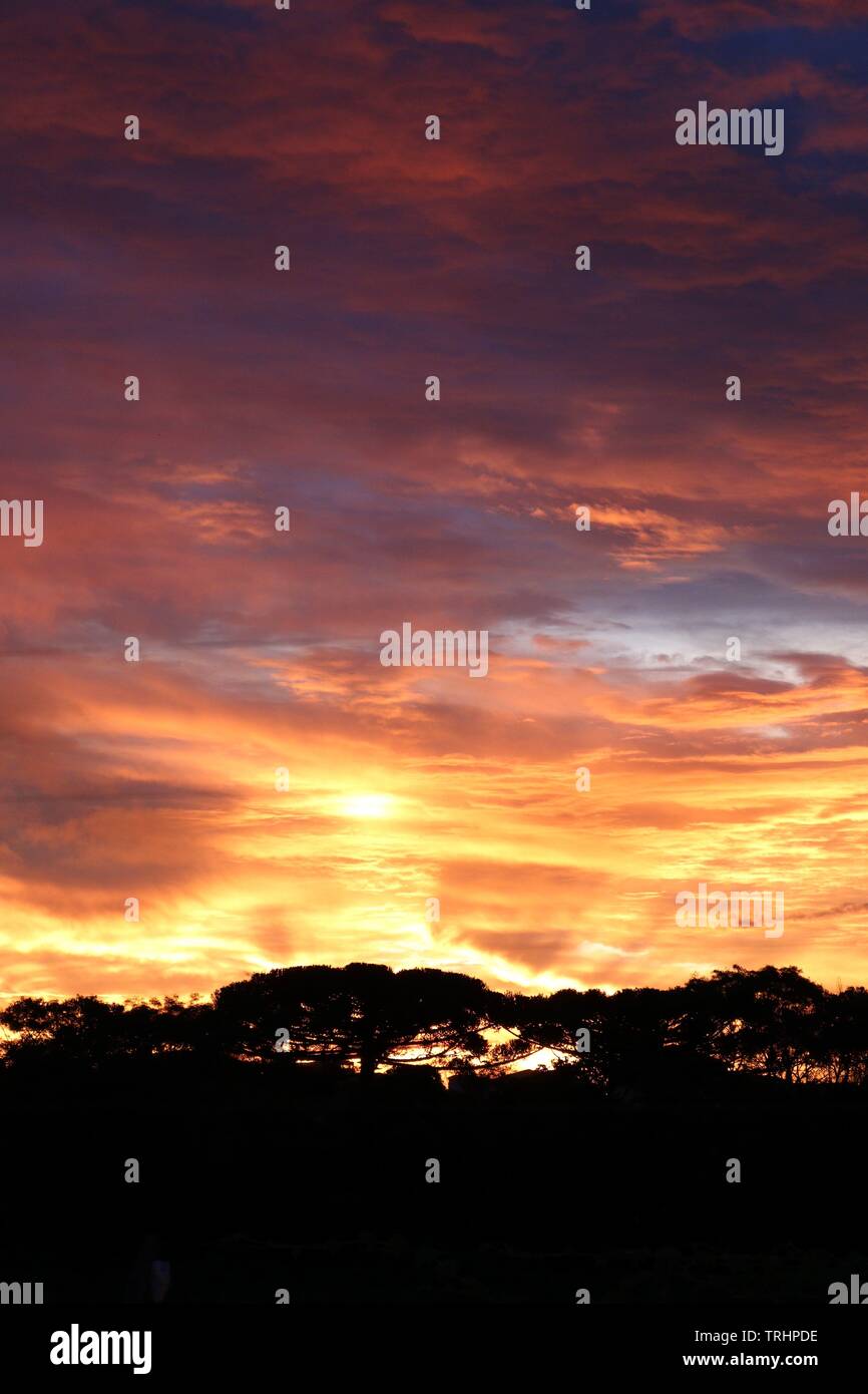 Brightness of sun hi-res stock photography and images - Alamy