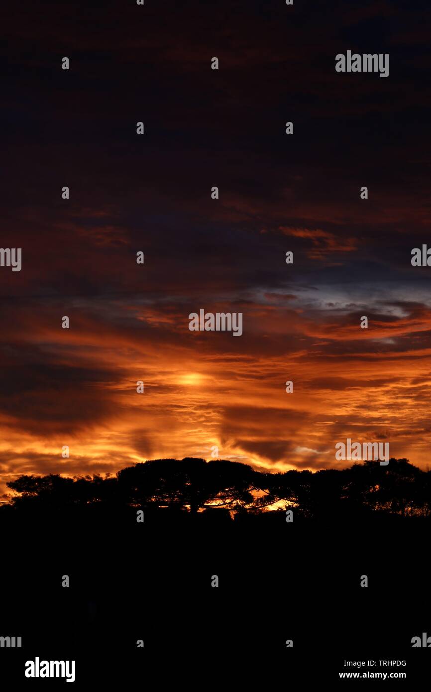 Light brightness hi-res stock photography and images - Alamy