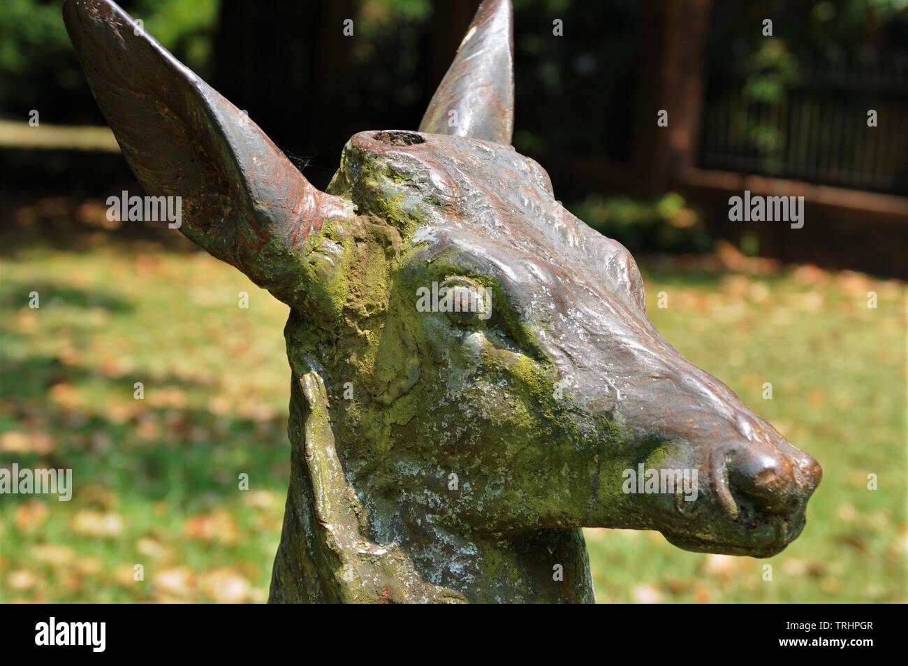 Stag statue hi-res stock photography and images - Alamy