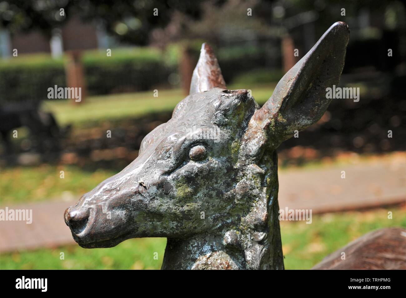 Stag statue hi-res stock photography and images - Alamy