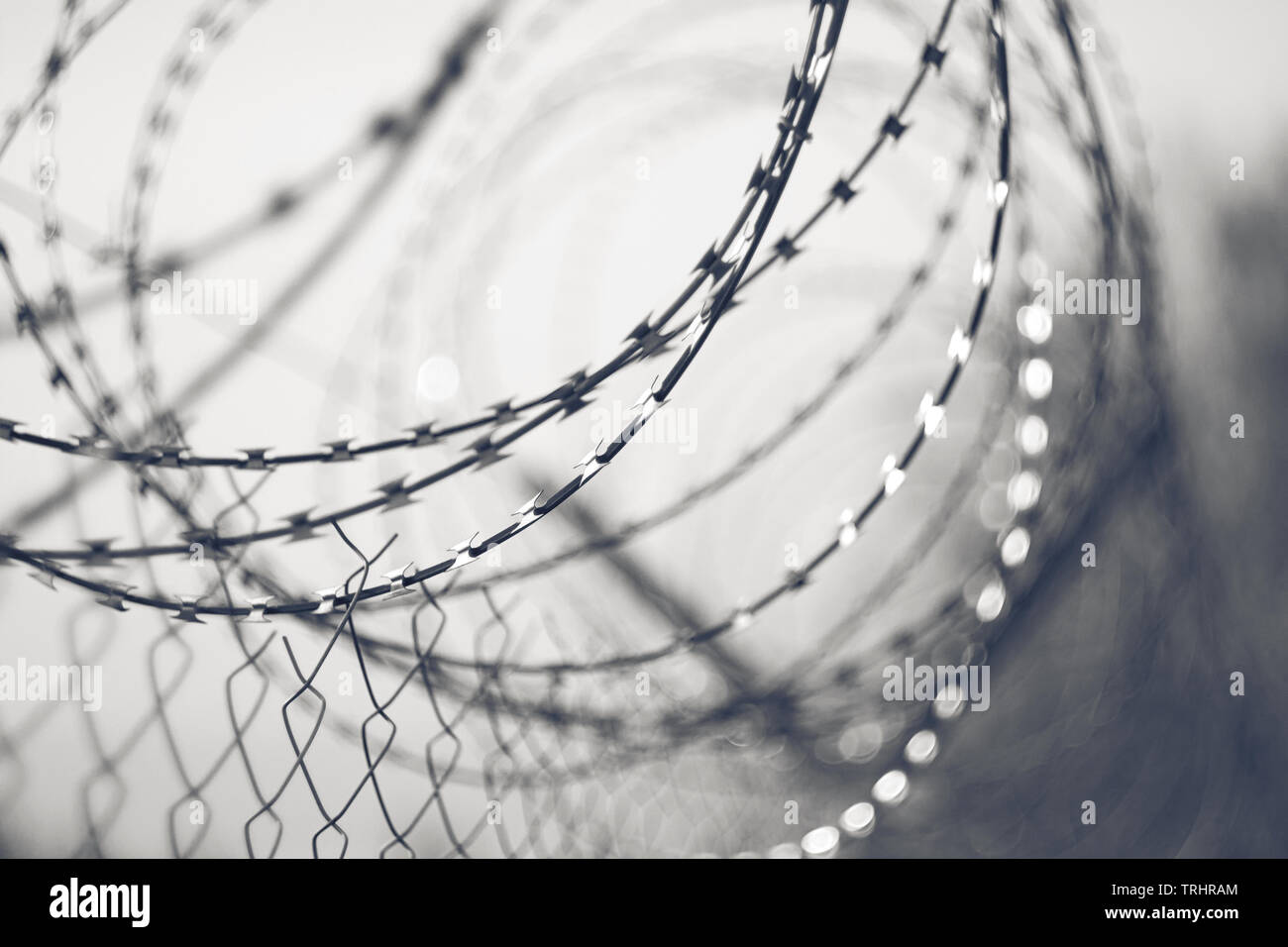 Black and white hopeless background with sharp barbed wire, twisted ...