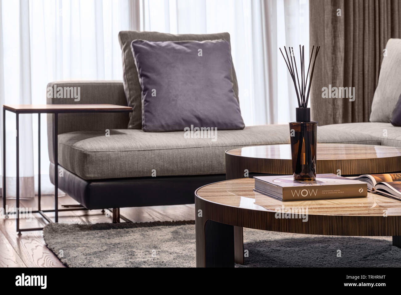 Home. Space. Living room hall. Lifestyle. Elegant luxury Stock Photo ...