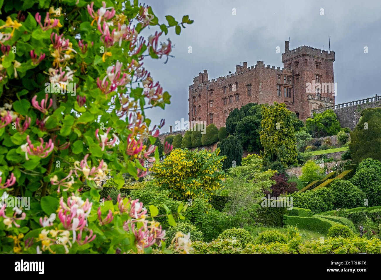 Powis castle from its garden, Wales Stock Photo - Alamy