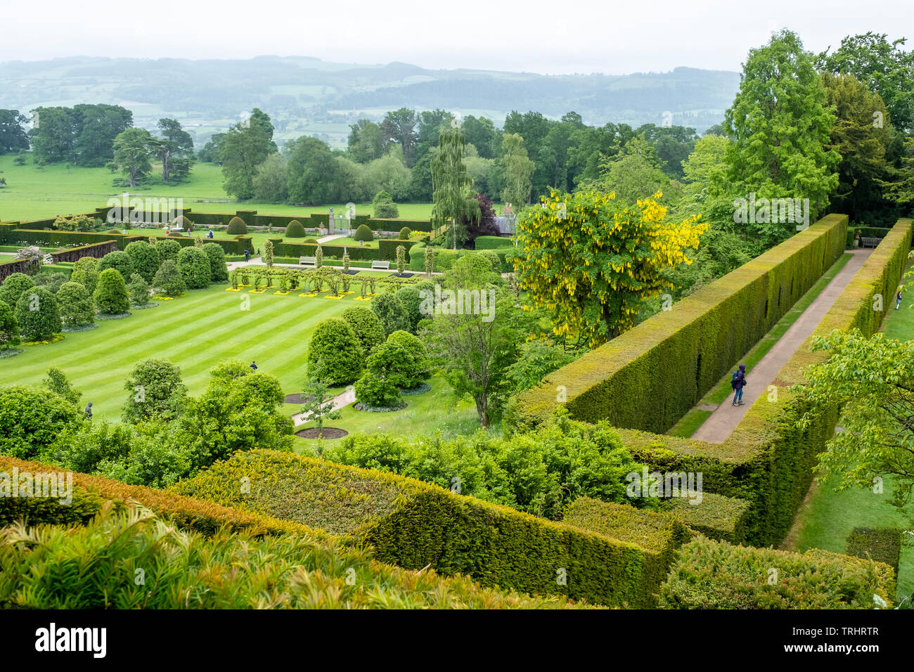 Powis castle garden hi-res stock photography and images - Alamy