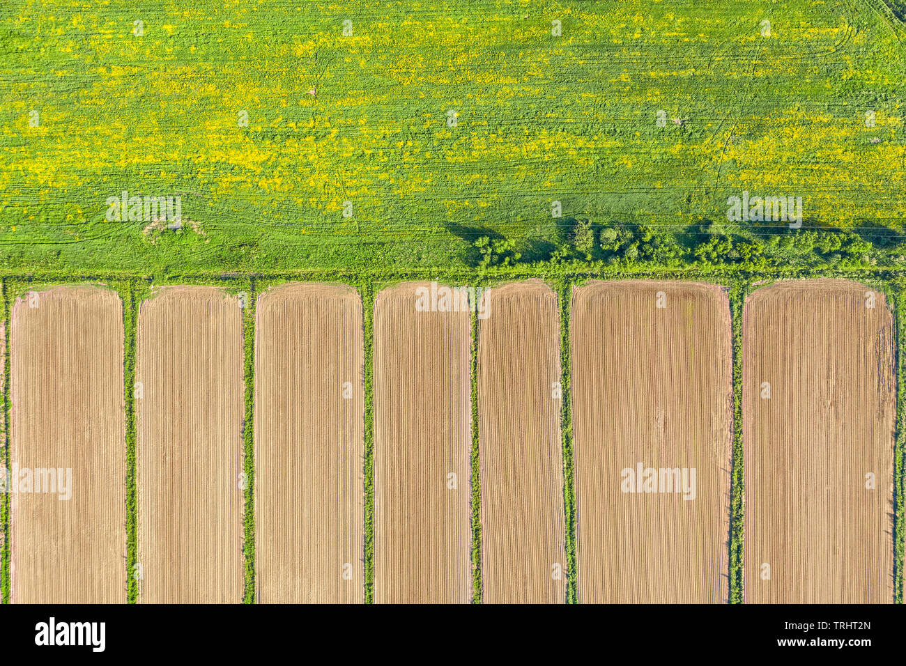 Plowed agricultural field and green meadow aerial top view. Natural ...