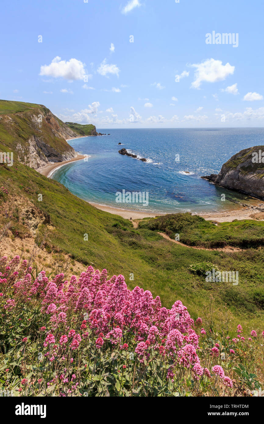 man o war bay near durdle door, jurassic coast, south coast, dorset ...