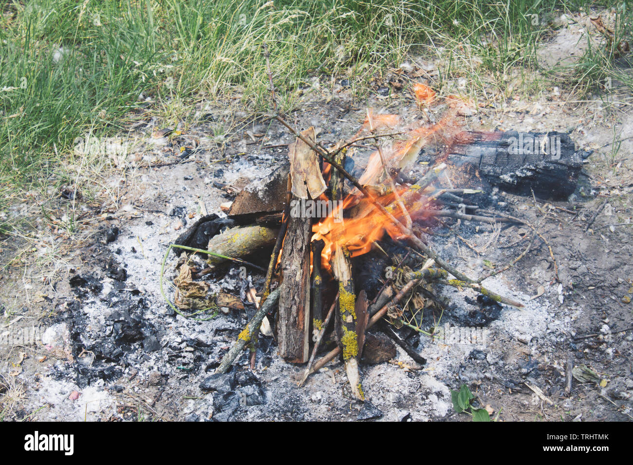 On the ground a fire burns in the forest with a bright flame. Close-up ...