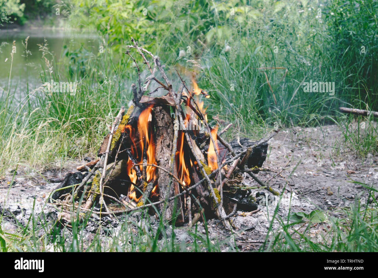 On the ground a fire burns in the forest with a bright flame. Close-up ...