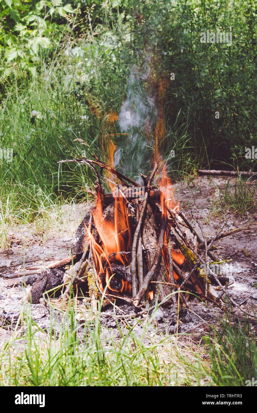 On the ground a fire burns in the forest with a bright flame. Close-up ...