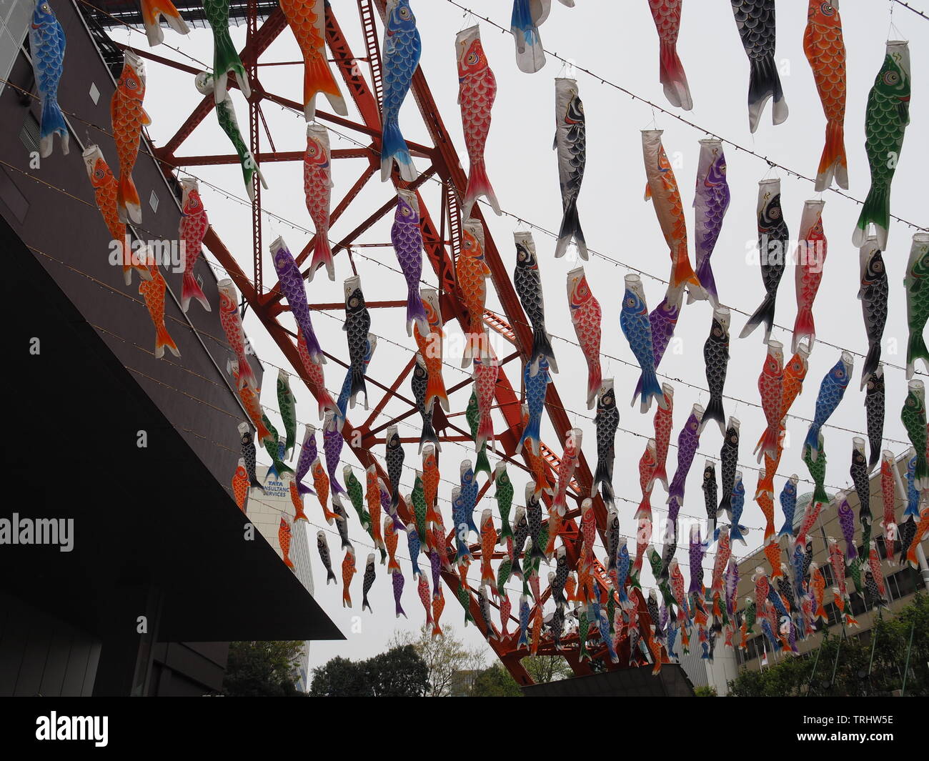 Koi-Nobori (japanese koi fish windsock) at Tokyo tower in Spring 2019 ...