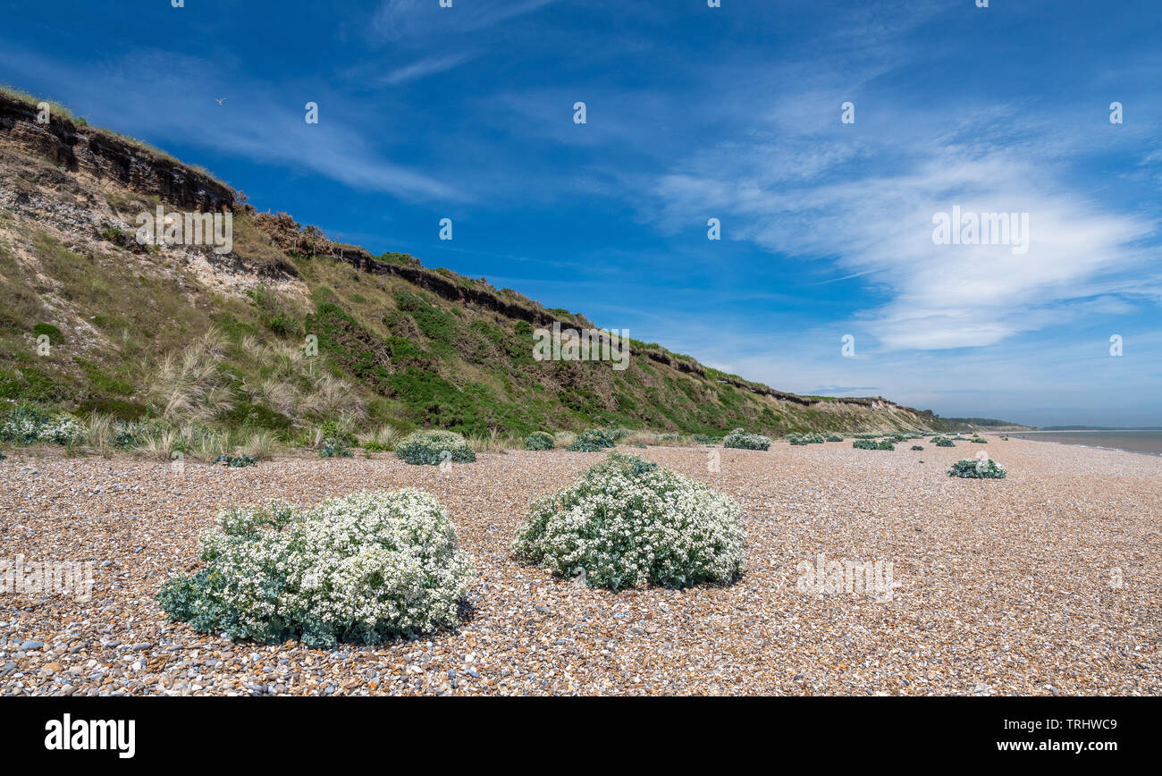 Dunwich suffolk hi-res stock photography and images - Alamy