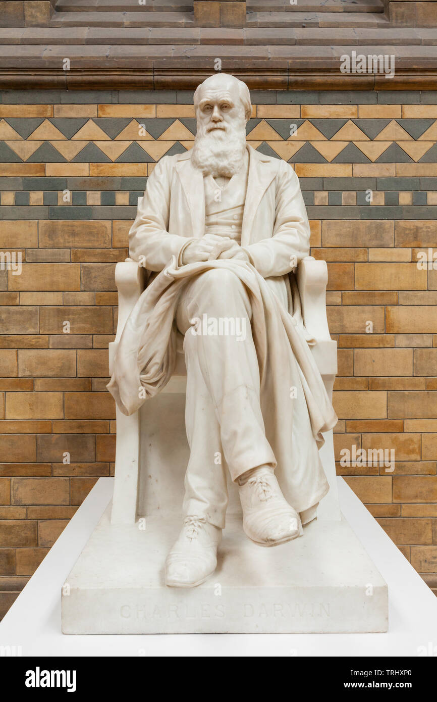 Statue of Charles Darwin at the Natural History Museum,Kensington ...