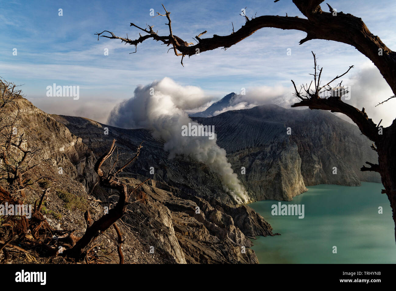 Sulfur carriers hi-res stock photography and images - Alamy