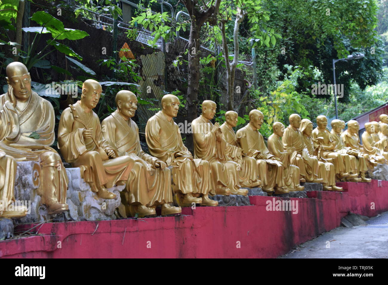 10000 Buddhas Temple High Resolution Stock Photography and Images - Alamy