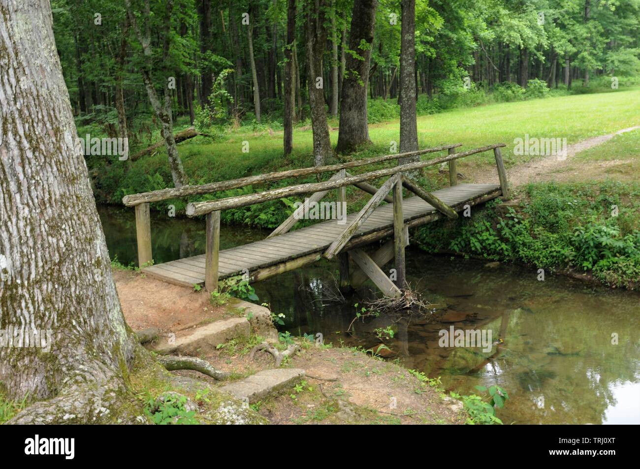 Bridge of logs and planks hi-res stock photography and images - Alamy