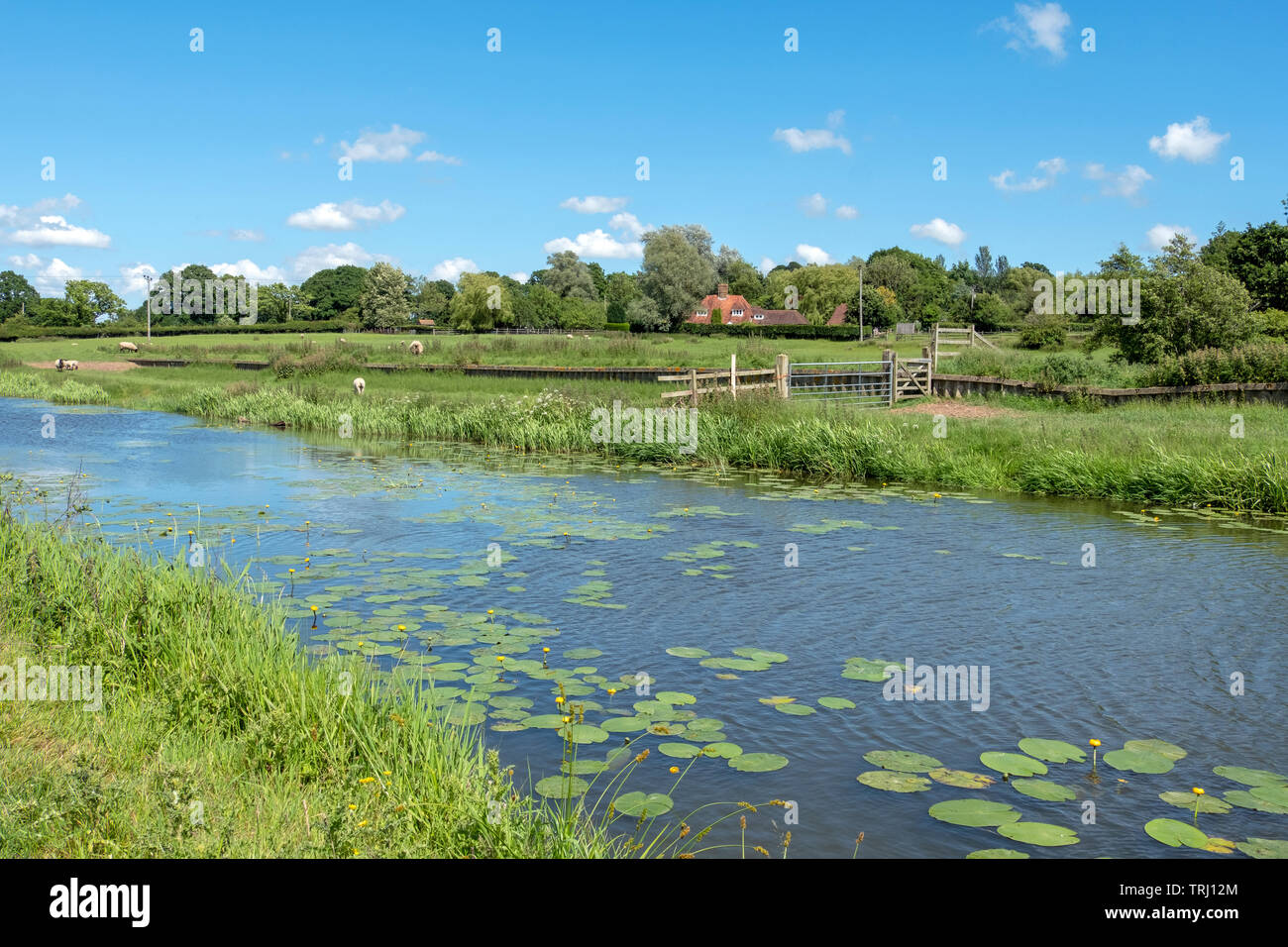 The kent landscape hi-res stock photography and images - Alamy