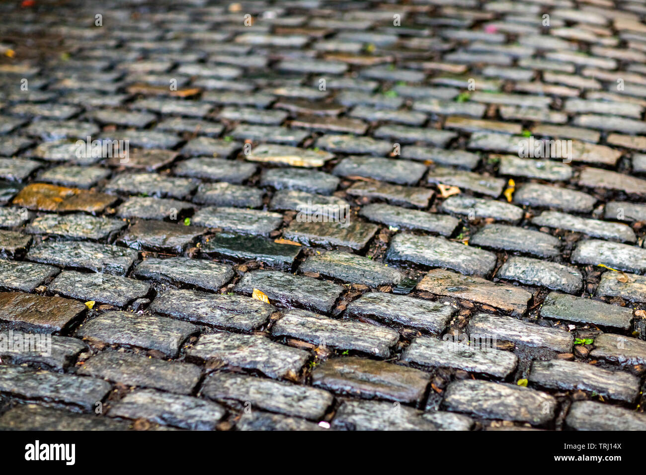 Stone pavement texture. Granite cobblestoned pavement background. Cobbled stone road regular ...