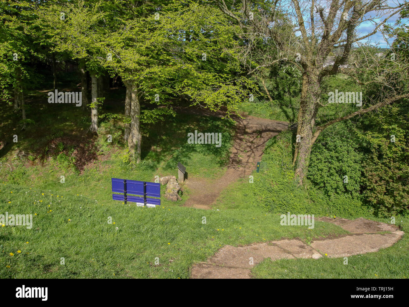 Woodland coleraine hi-res stock photography and images - Alamy