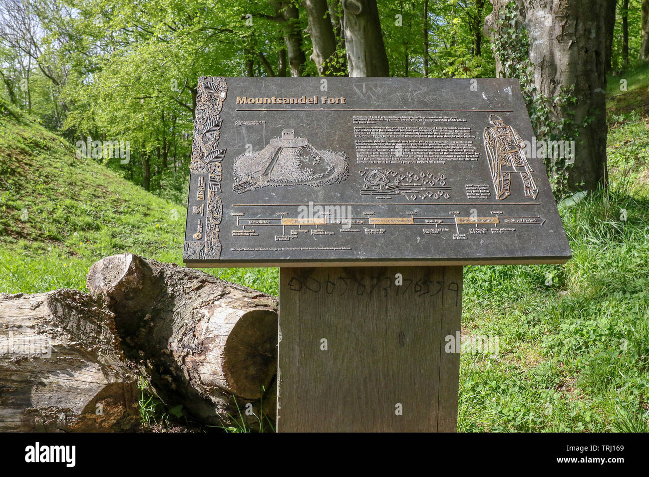Historic site information board at Mount Sandel, Coleraine, Northern ...