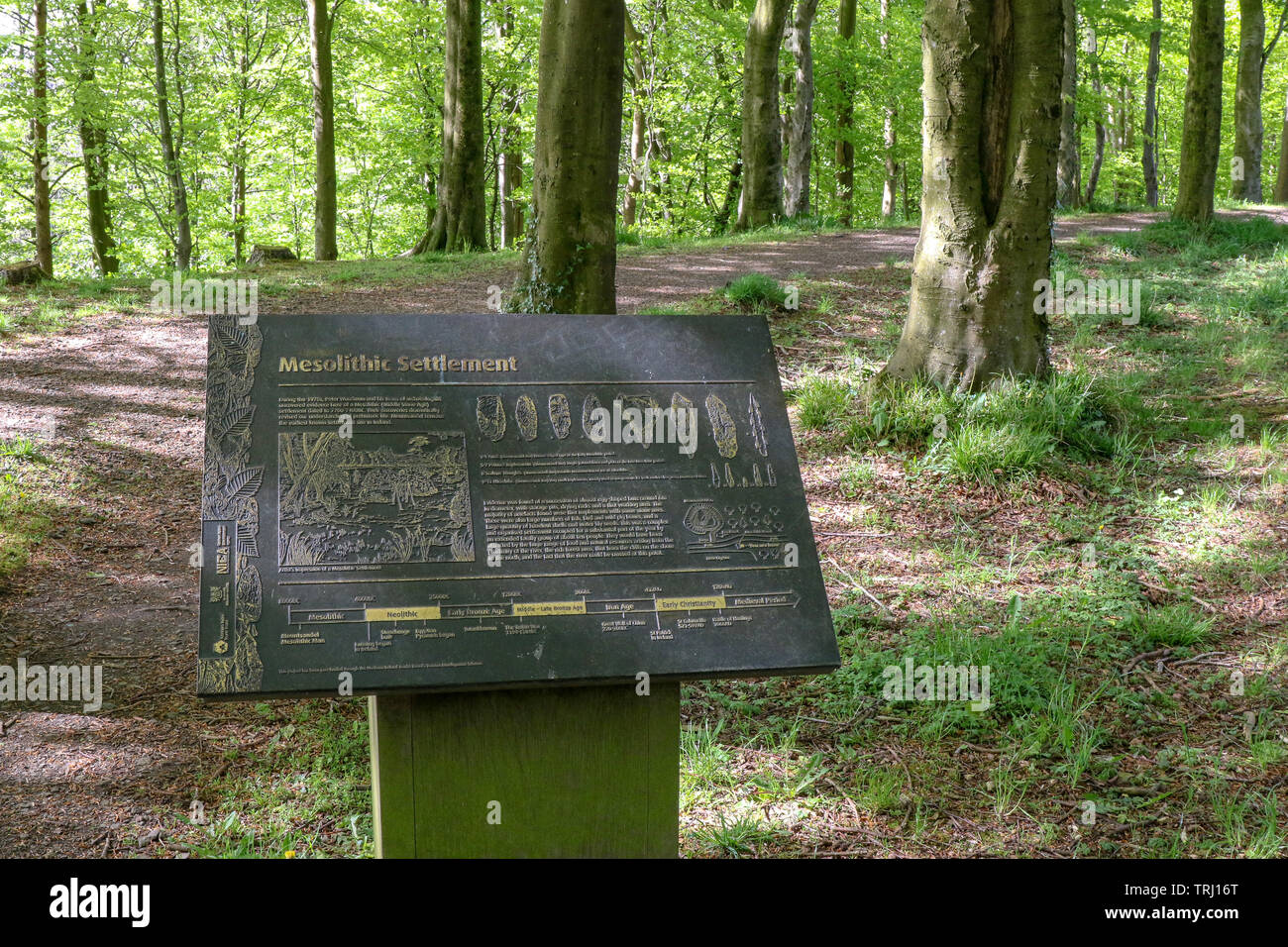 Mesolithic settlement hi-res stock photography and images - Alamy