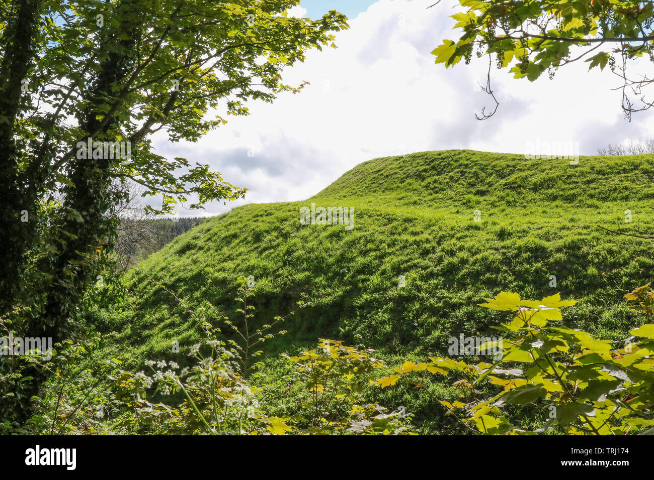 Mesolithic Age High Resolution Stock Photography and Images - Alamy