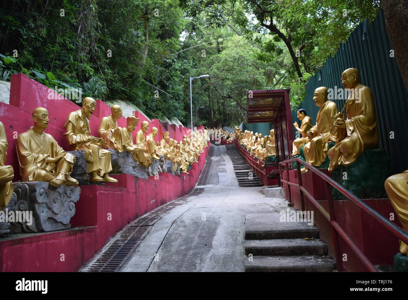 The 10000 Buddhas Temple in Hong Kong Stock Photo - Alamy