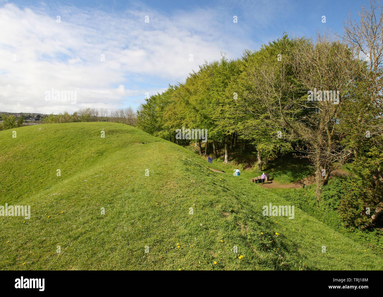Mesolithic information board hi-res stock photography and images - Alamy
