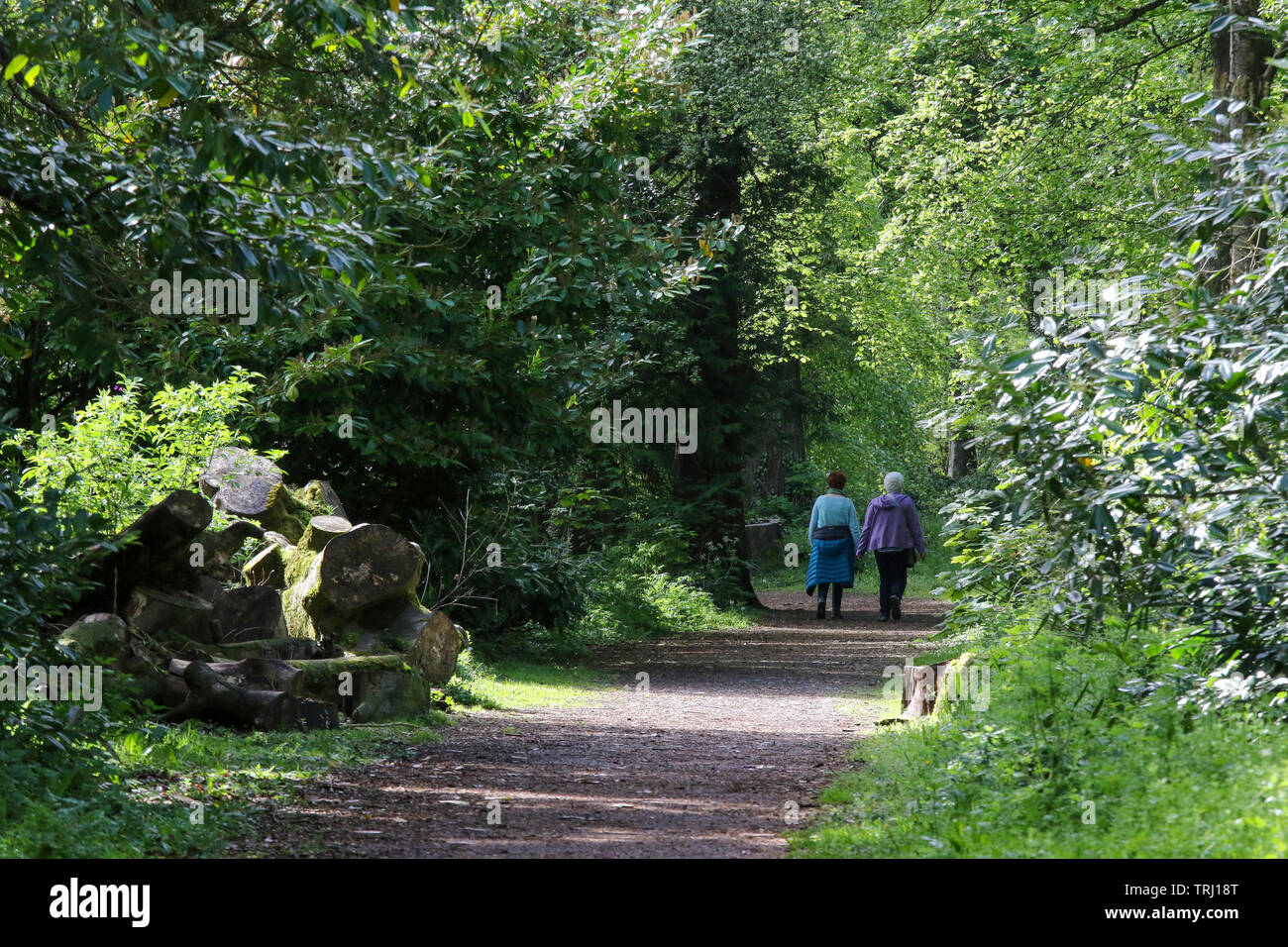 Wood mountsandel hi-res stock photography and images - Alamy