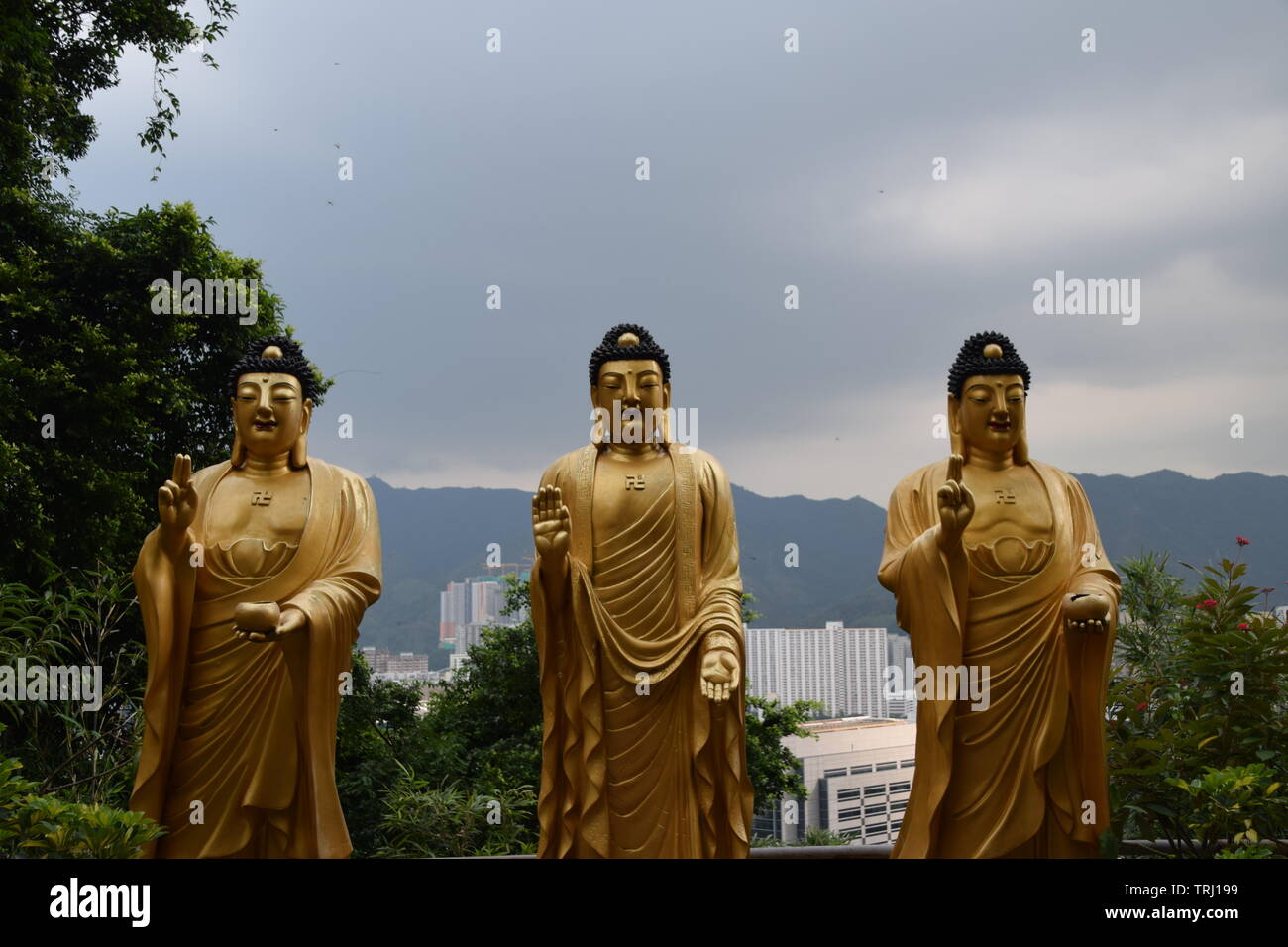 The 10000 Buddhas Temple in Hong Kong Stock Photo - Alamy