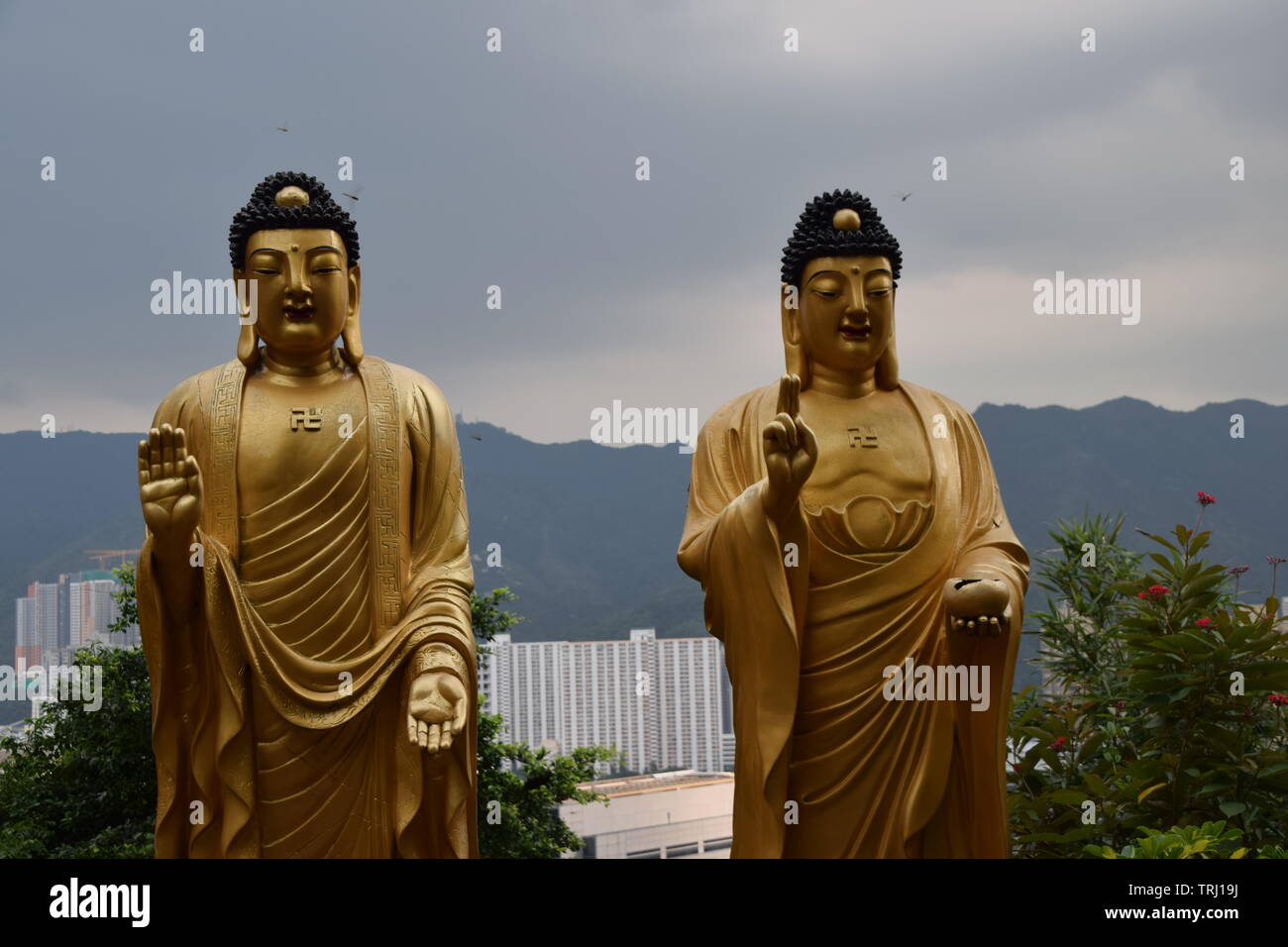 The 10000 Buddhas Temple in Hong Kong Stock Photo - Alamy