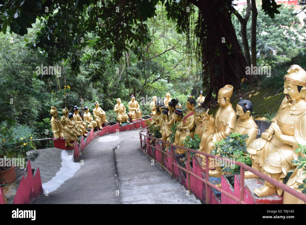 The 10000 Buddhas Temple in Hong Kong Stock Photo - Alamy