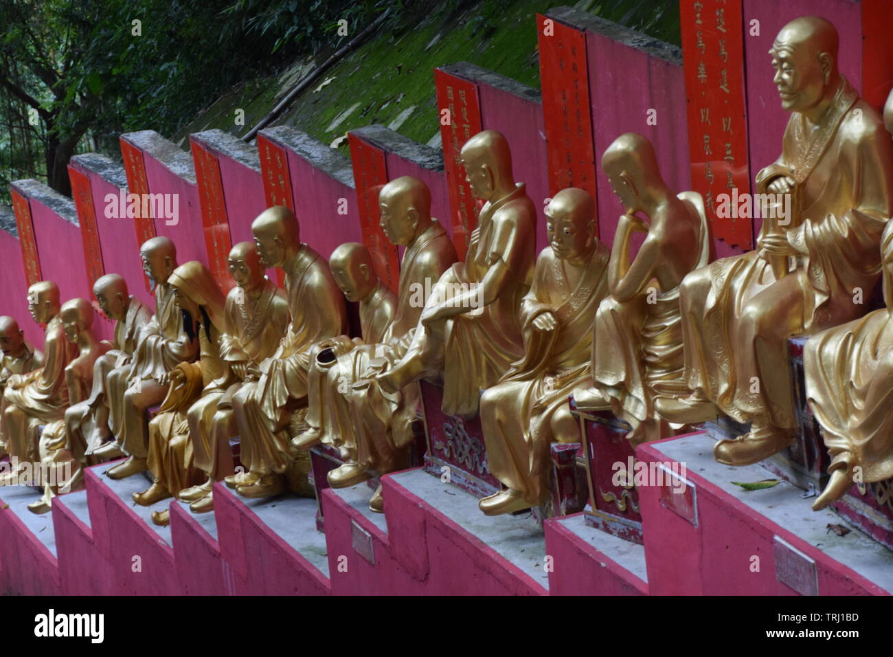 The 10000 Buddhas Temple in Hong Kong Stock Photo - Alamy