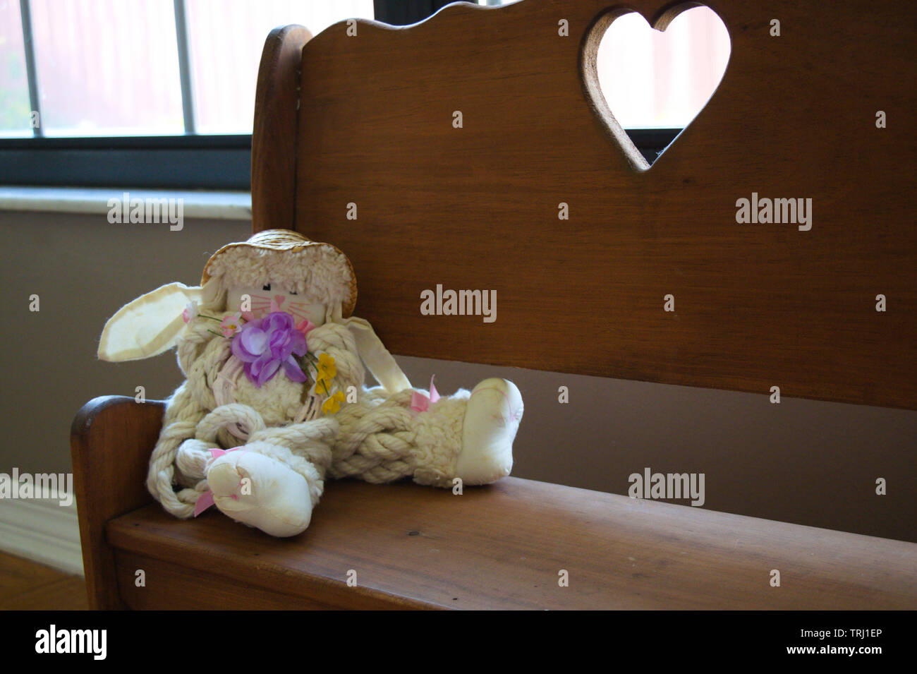 Solitary rag bunny waiting for its owner Stock Photo - Alamy