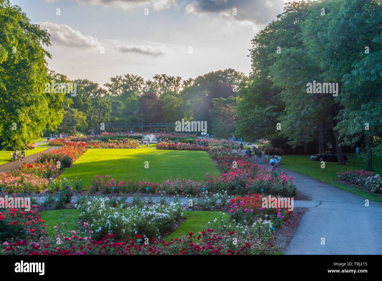 Park of Roses, Columbus, Ohio Stock Photo - Alamy