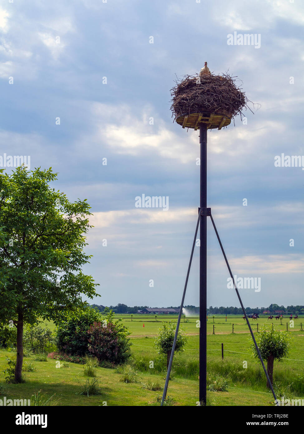 Man made birds hi-res stock photography and images - Alamy