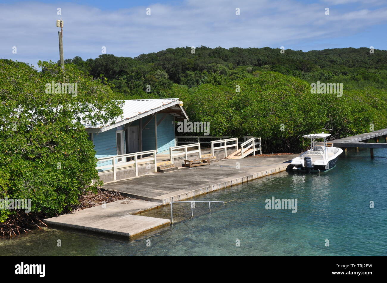 House on a dock right by the ocean surrounded by dense vegetation Stock ...