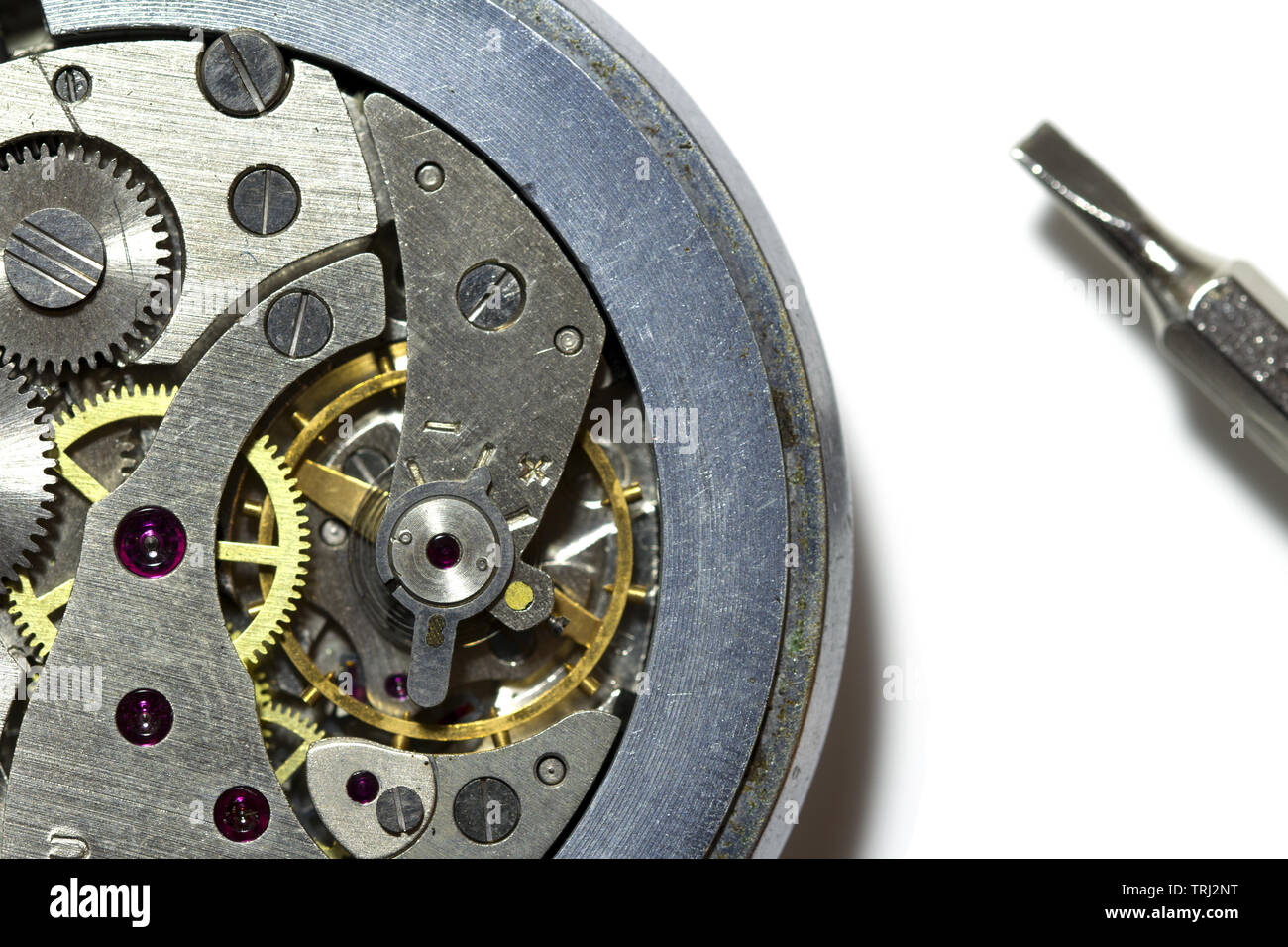 Vintage watch movement close-up. Showing cogs, wheels and jewels Stock ...