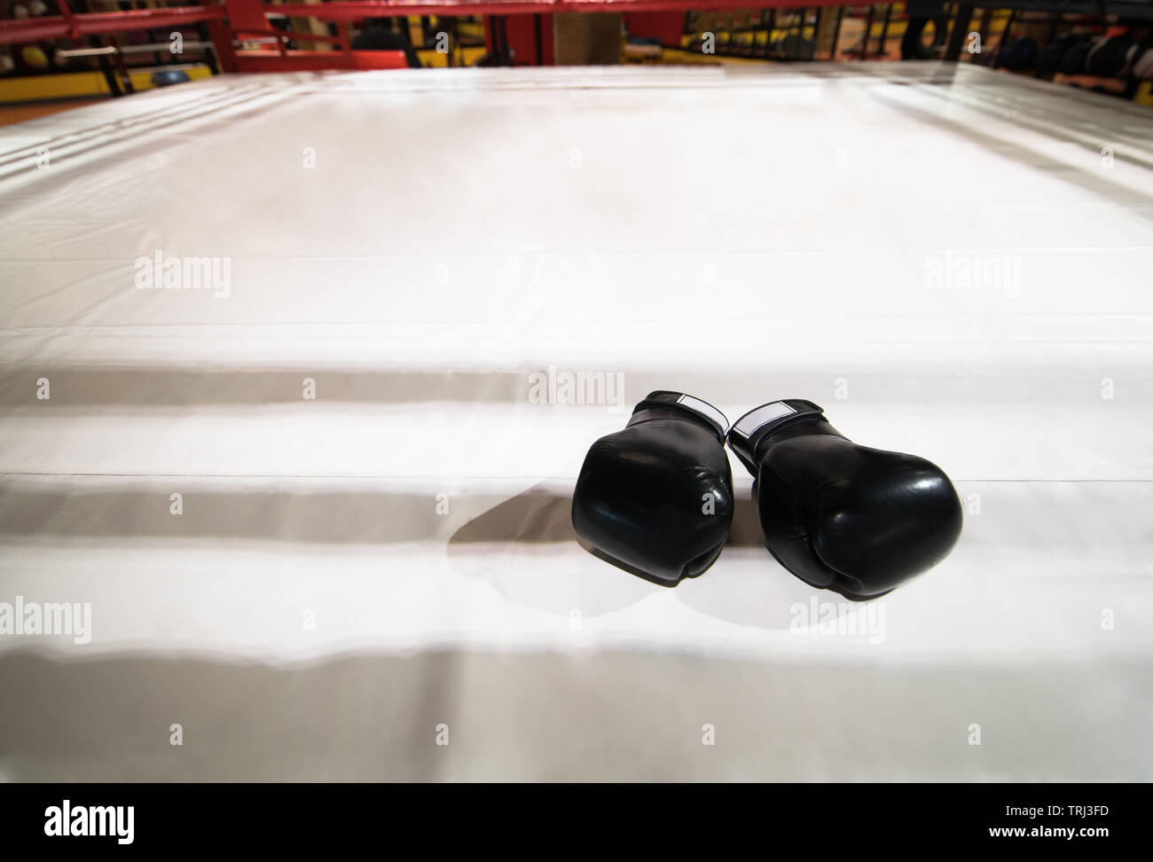 Two black Boxing gloves lie on the Boxing ring in white. The shadow of ...