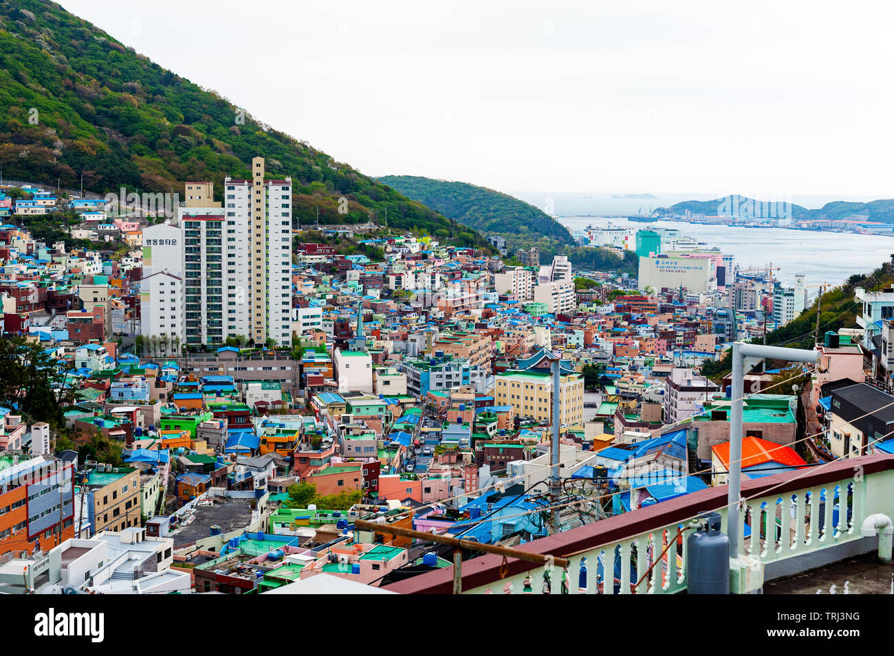 Scenic landscape of Gamcheon Culture Village, colorful and artistic ...