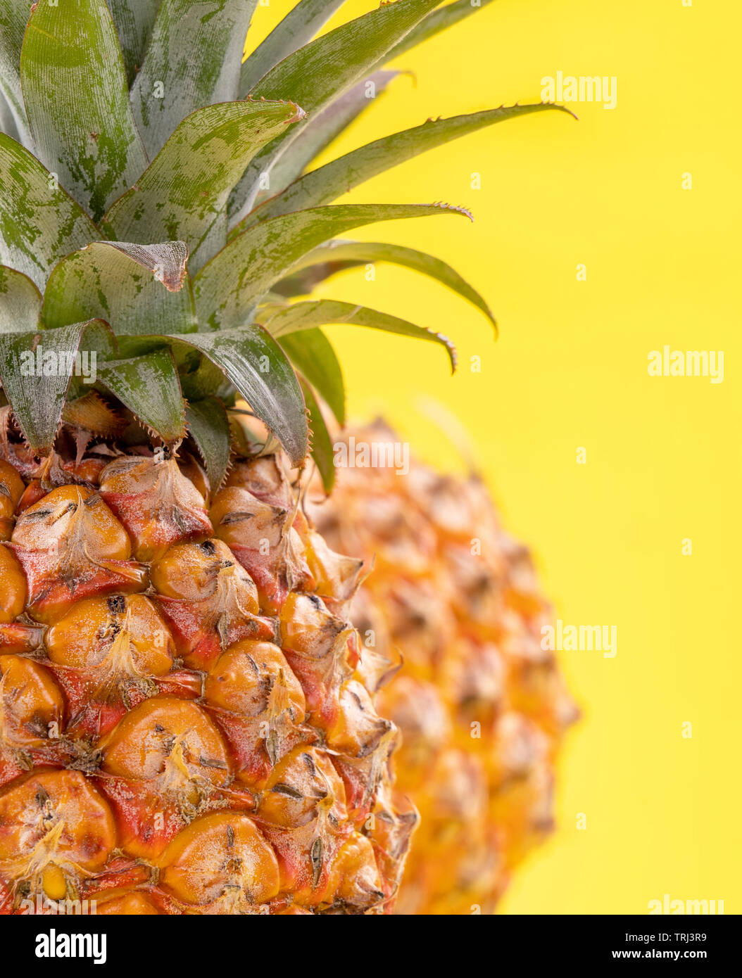 Beautiful fresh pineapple isolated on bright yellow background, summer ...