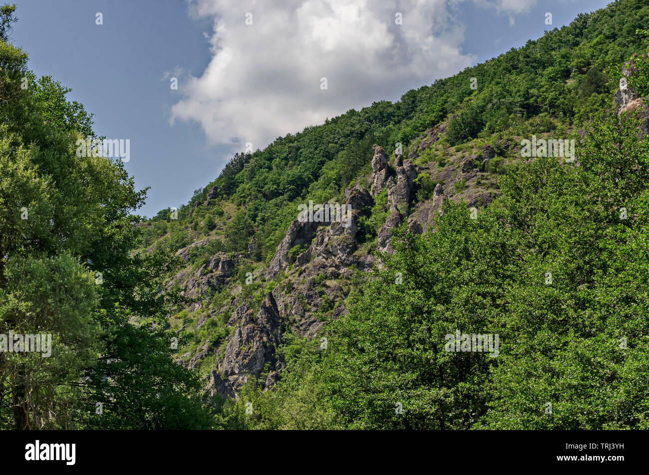 Large and well formed rocks resemble humans, beasts and other bizarre ...