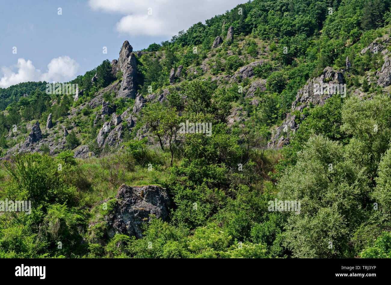 Large and well formed rocks resemble humans, beasts and other bizarre ...