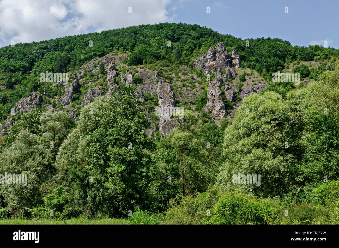 Large and well formed rocks resemble humans, beasts and other bizarre ...