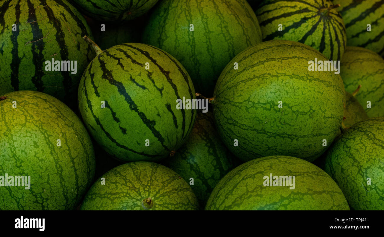 Delicious small green watermelons to quench the thirst on a hot summers ...